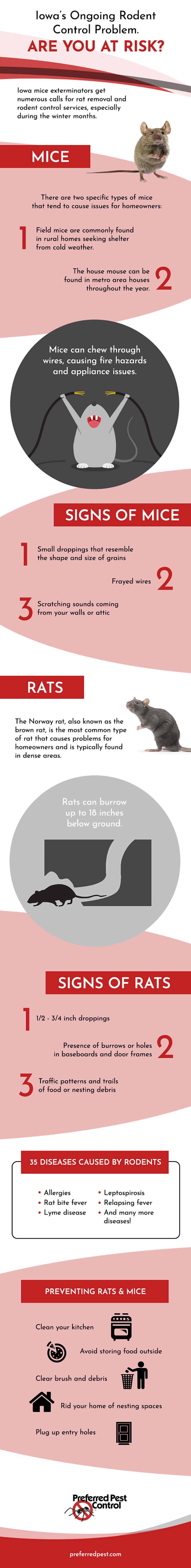 Iowa's Ongoing Rodent Problem. Are You At Risk?