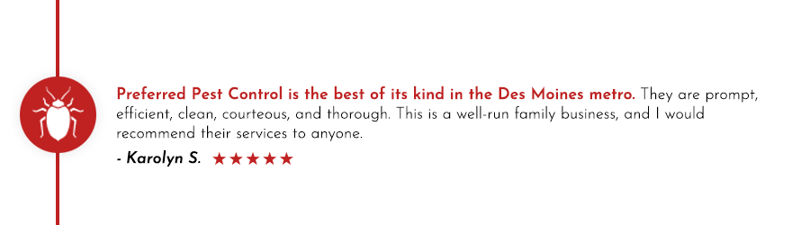 Bed Bug Treatments | Preferred Pest Control