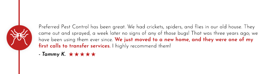 Year-Round Des Moines Pest Control | Preferred Pest Control