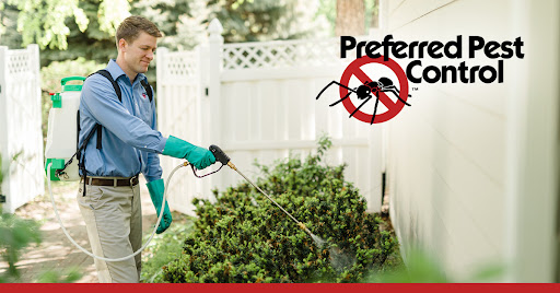 Enjoy Your Yard With Our Mosquito Control Services